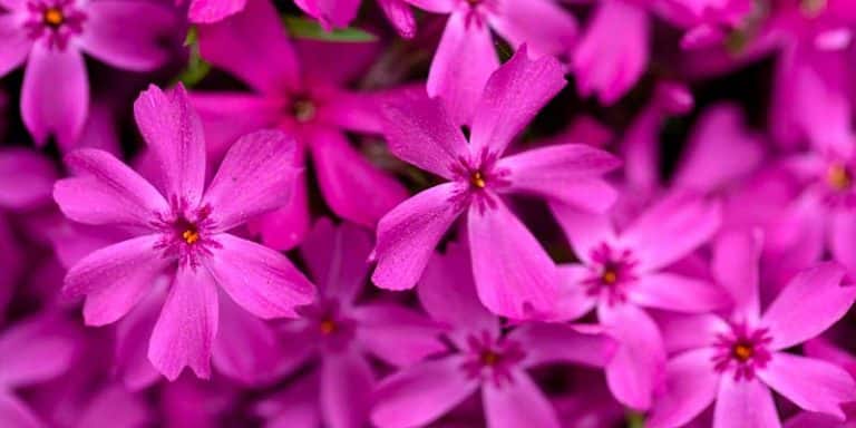 Psicología del Color | Significado de +26 colores diferentes ≪