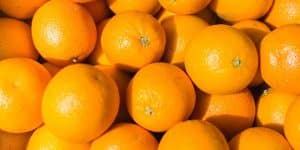 Psicología del Color | Significado de +26 colores diferentes ≪